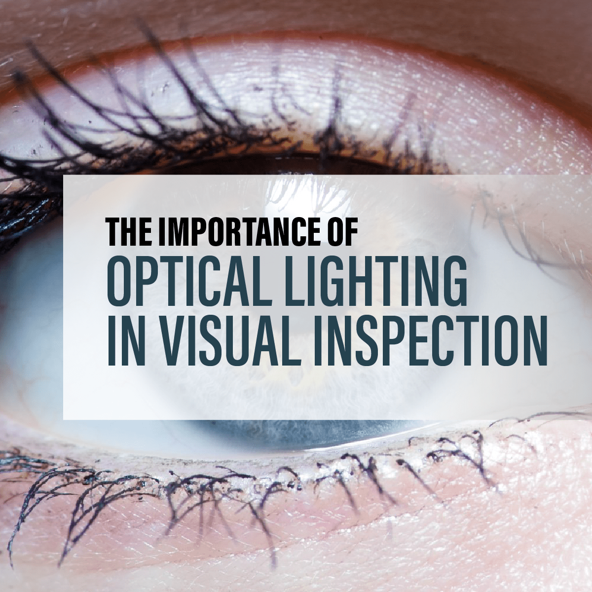 Importance of Quality Light in Visual Inspection - L.E.S.S. SA